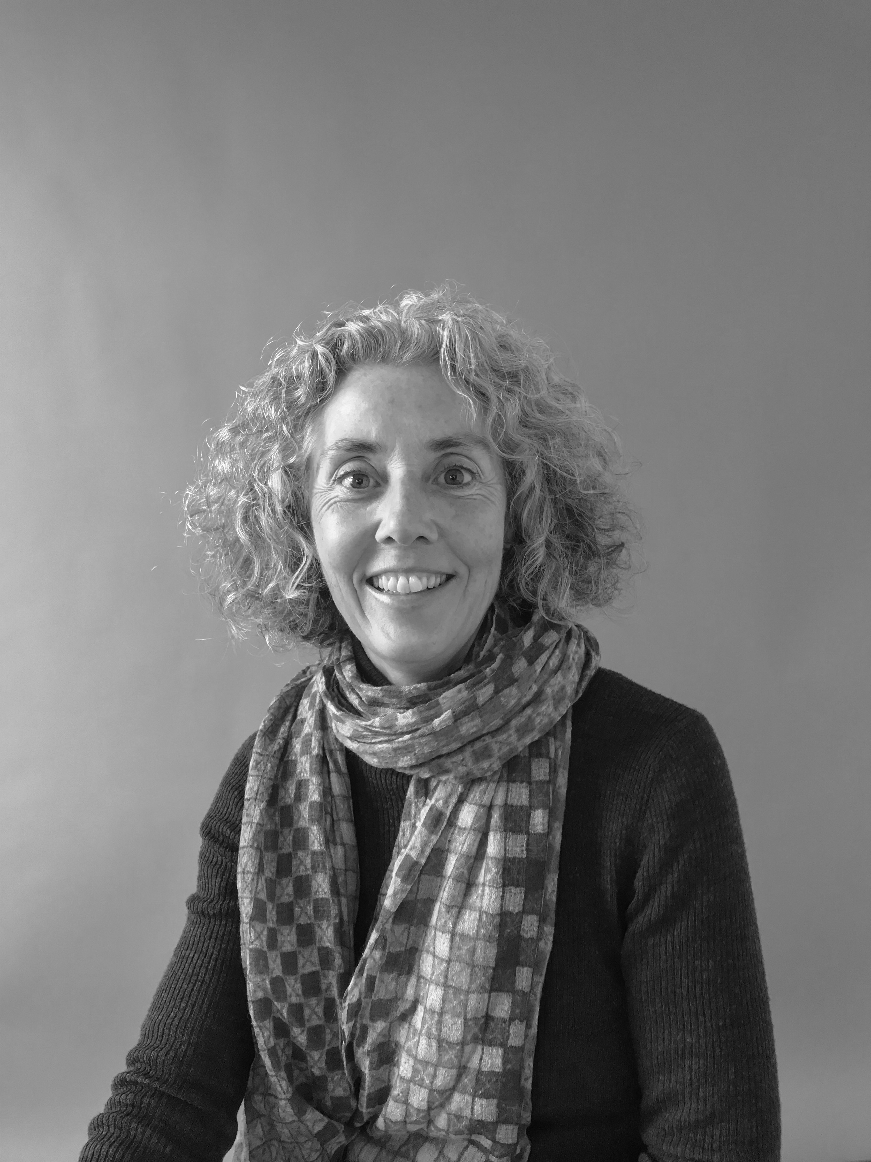 Bibliotekernes Festival for Historie